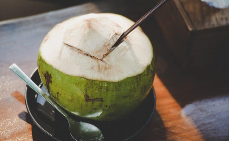 Qué tipo de fruto es un coco