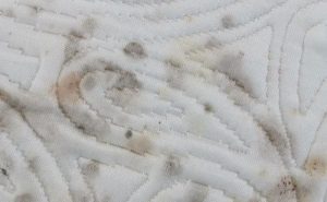 El método más efectivo para limpiar el moho negro de un colchón